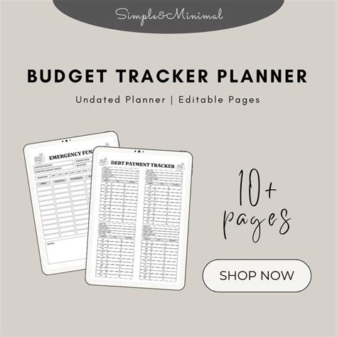 Editable Budget Planner Printable Finance Tracker Expense Savings