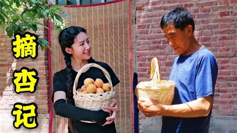 登的回忆：小登家黄杏大丰收摘一大篮，登妹拿来做杏干，老爹看到成品后慌了 Youtube