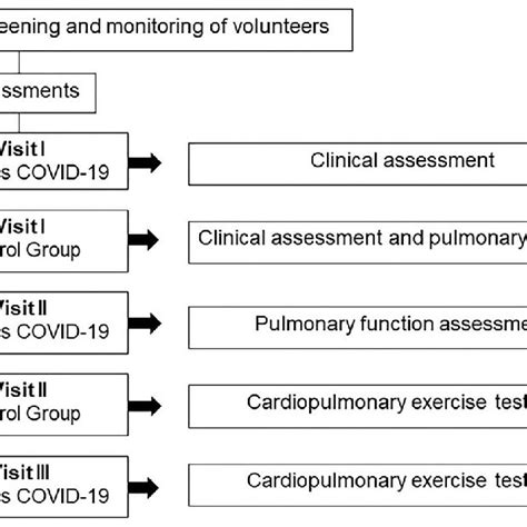 Evaluation Flow Chart Download Scientific Diagram