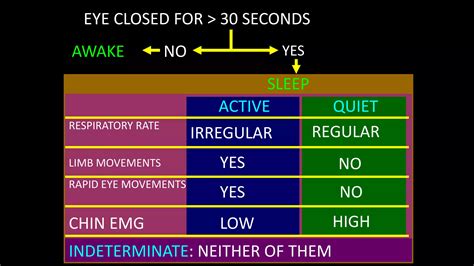 Normal Neonatal Eeg Pptx