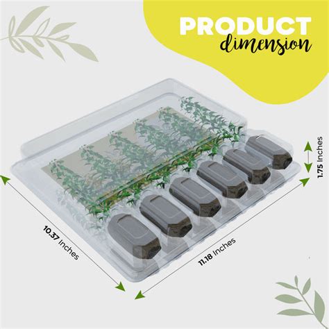 6 Plants Multi Pack Shipping Box For Plants Live Plant Shipping Boxes