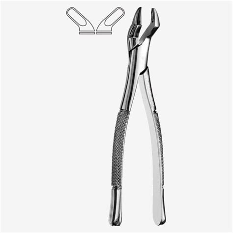 American Pattern Tooth Extraction Forceps Fig 10s Surgical Equips