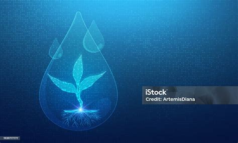 Hydroponics And Aquaponics Conceptual Illustration With Copy Space