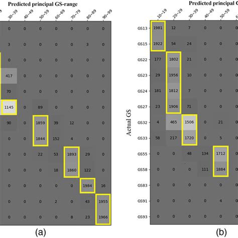 A Wheat And B Barley Principal Gs Classification Employing Convnet