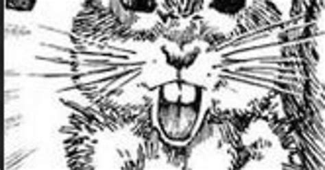 Surprised Squirrel Album On Imgur