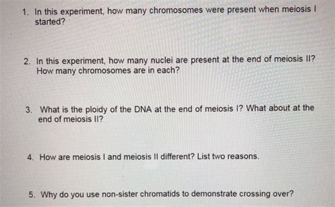 Ragraph Trial 1 Meiotic Beads Diagram Prophase L