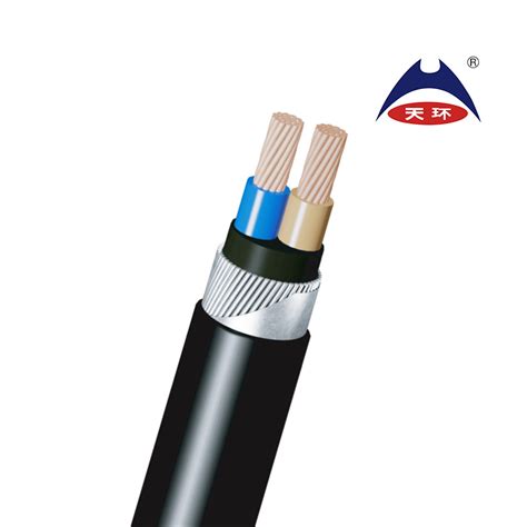 Nyrgby Copper Conductor Pvc Insulated Galvanized Steel Wire Armor