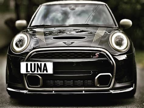 Luna All Dressed Up For Her 1st Birthday 🥳🥳🥳 Rmini