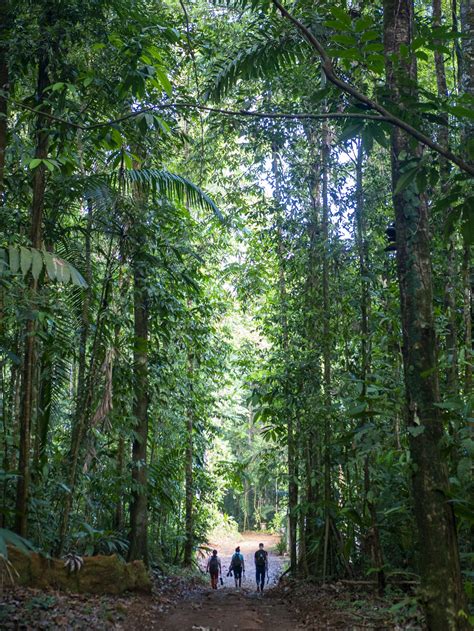 Corcovado Foundation Costa Rica