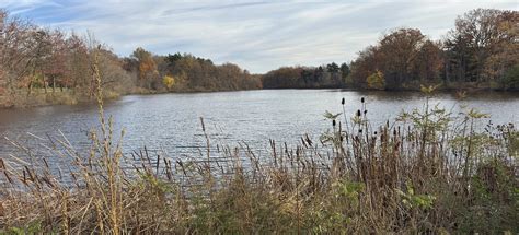 Shaker Lakes Trail Ohio 546 Reviews Map Alltrails