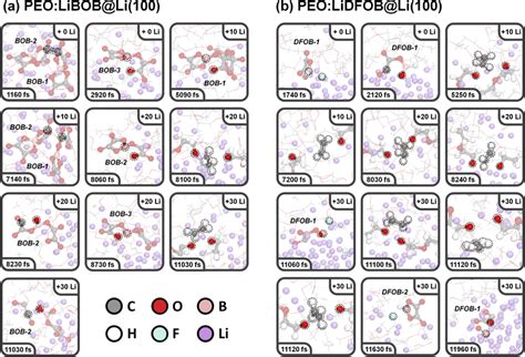Initial Sei Formation In Libob Lidfob And Libf 4 Containing Peo