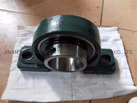 Japan Bearing Asahi Ntn Nsk Ucp Ucp205 Ucf206 Uct208 Ucfc210