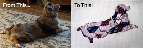 Scrappy Applique Montavilla Sewing Centers