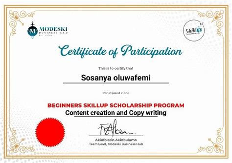 sosanya oluwafemi on linkedin just a little step up from what i know