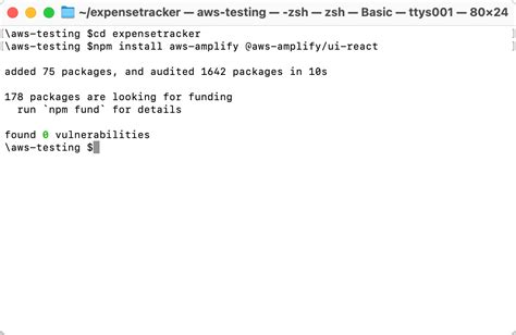 在 aws amplify 上部署 web 应用程序 模块 3