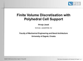 Finite Volume PDF