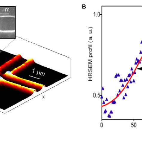 A Confocal Fluorescence Microscopy Image Of A Download