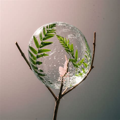 Trophic Efficiency → Term