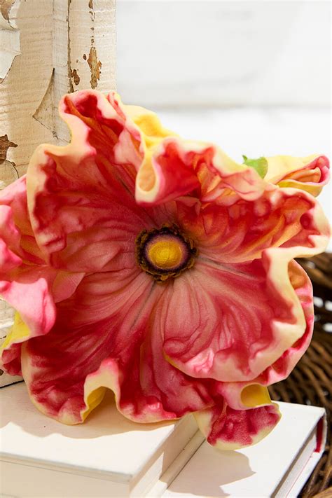 29 Giant Ranunculus Stem Decorators Warehouse