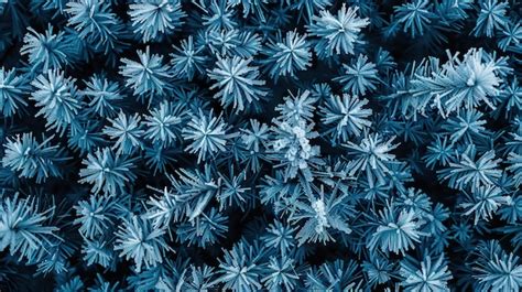 Premium Photo Abstract Hoarfrost Covered Grass Background