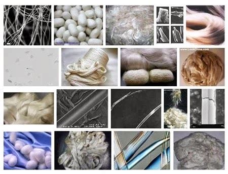 Silk Fiber Types Properties Manufacturing And Uses Textile Learner