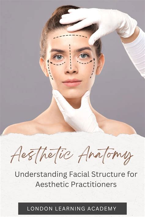 Aesthetic Anatomy Understanding Facial Structure