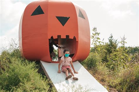 Kc Pumpkin Patch — Kc Pumpkin Patch