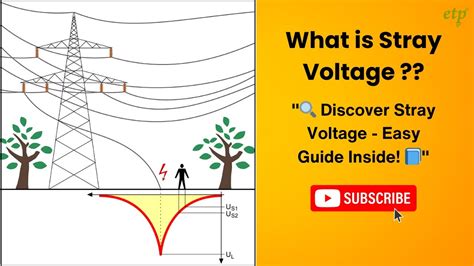 what is stray voltage youtube