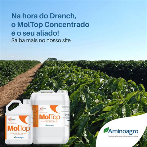 Café Drench Agricultura Conilon Arabica Aminoagro