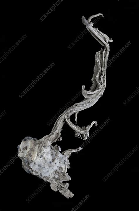 Native Silver Stock Image C0103604 Science Photo Library