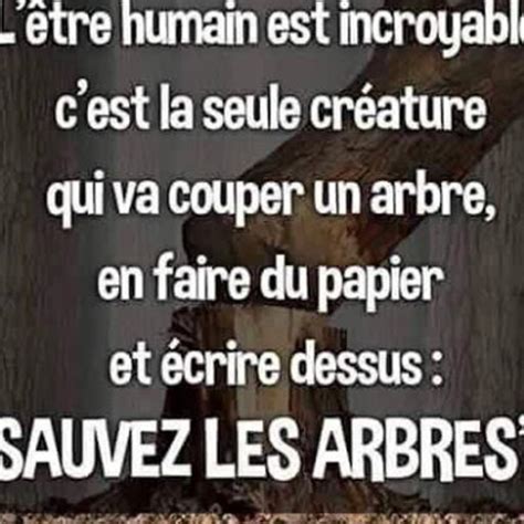 Tassius Thierry Phd Student Phd Candidate Université Des Antilles