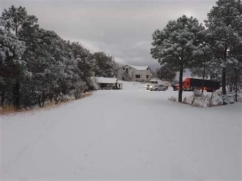 Yécora Se Cubre De Nieve Así Se Mira La Sierra De Sonora Video Luz Noticias