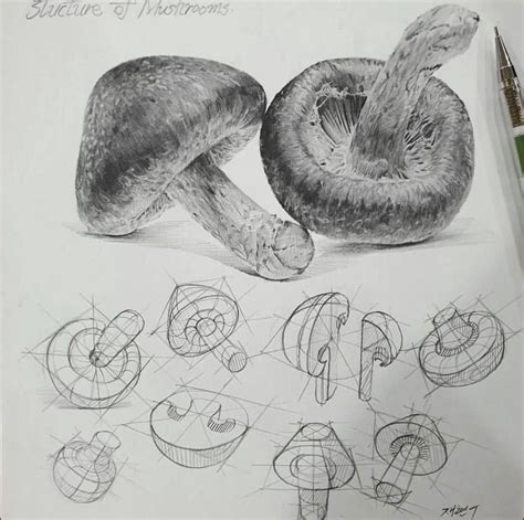 Artist Shows How To Draw Realistic Objects In Amazing Step By Step