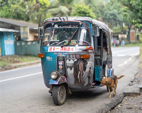 Christopher Herwig Frames The Art Of South Asias Trucks And Tuk Tuks