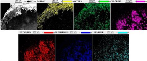 Edx Mapping Of The Elements For The Material With Polymer To Fertilizer