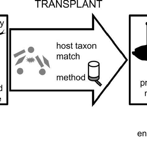 Conceptual Framework Of All The Experimental Conditions In A Microbial