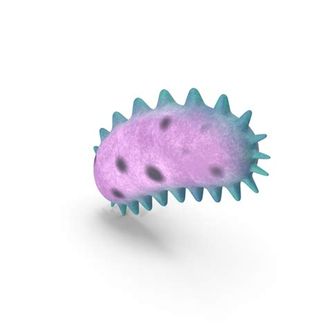 Riment 1 Bioprospecting For Starch Degrading Bacteria Png Images And Psds