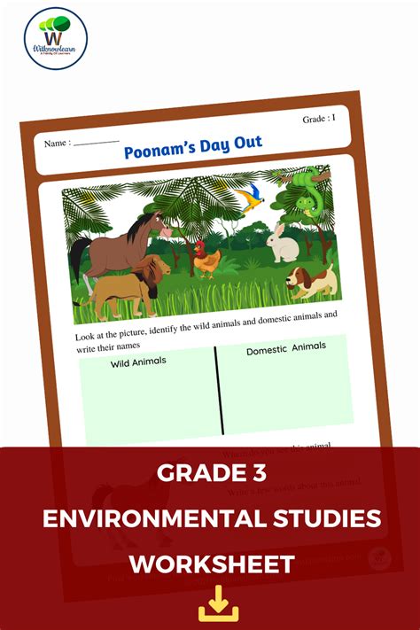 Poonams Day Out Class 3 Evs Worksheet Witknowlearn Worksheets