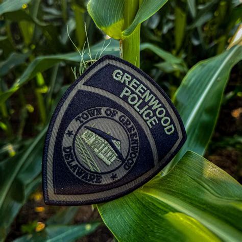 Town Of Greenwood Delaware High Risk Tier Iii Sex Offender Notification James Deshields 47