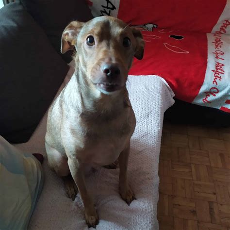 Donne Berger Créole 3 Ans Paris à Paris