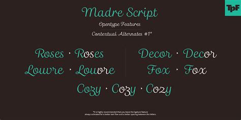 Madre Script Font Madre Script Font