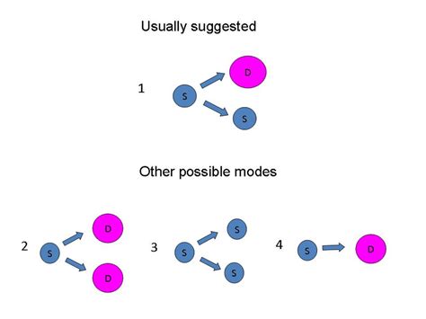 Possible Modes Of Stem Cell Division Download Scientific Diagram