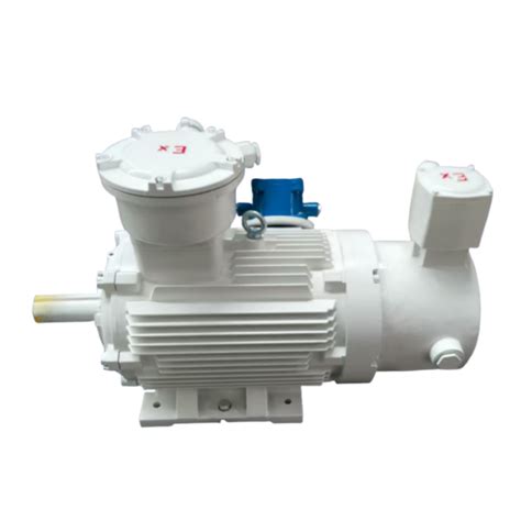 Ybbp Series Flameproof Variable Frequency Speed Regulating Three Phase