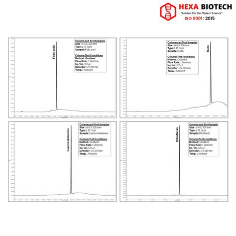 Phenyl Stationary Hplc Column Chromasol Onyx At ₹ 29500piece Hplc
