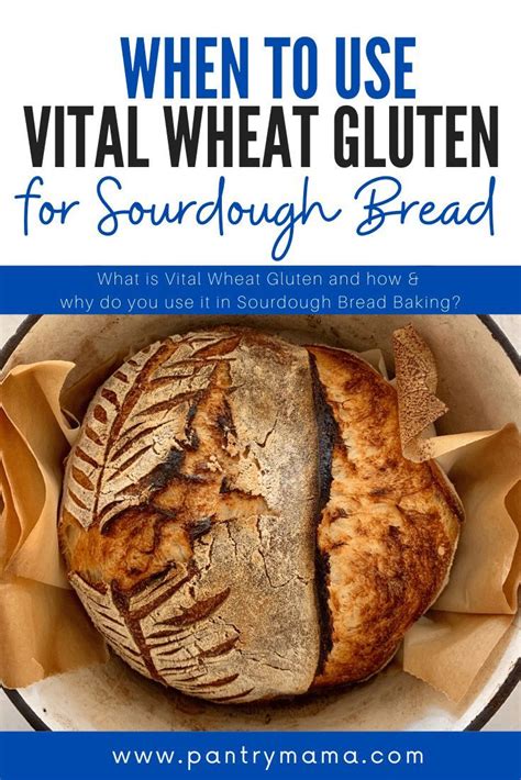 Vital Wheat Gluten What Is It And Why You Should Use It Homemade