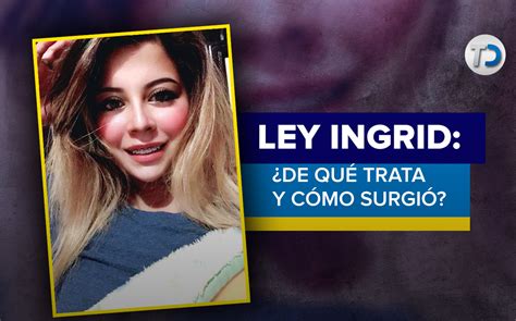 Ley Ingrid Qué Es De Qué Trata Y Cómo Surgió Telediario México