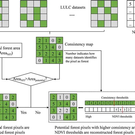 methodology flow chart in the forest reconstruction the green squares