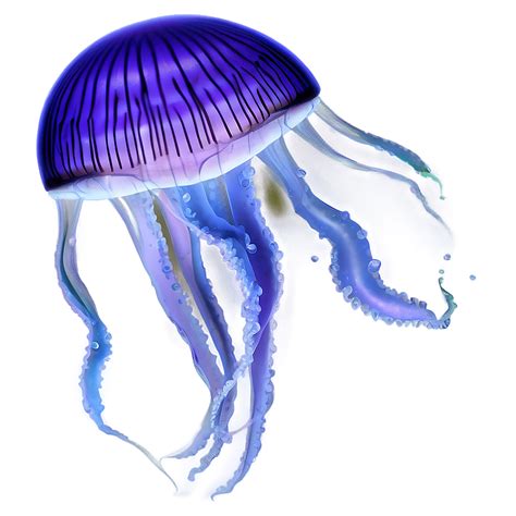 Moon Jelly Png Images 100