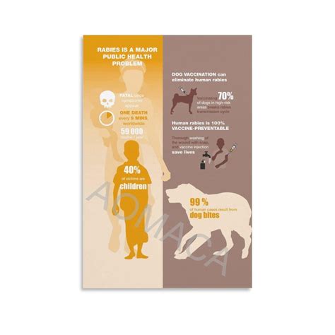 Rabies Transmission Cycle