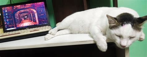 Poulami Ghosh On Linkedin Writing Worklife Lifelessons Mondaymotivation